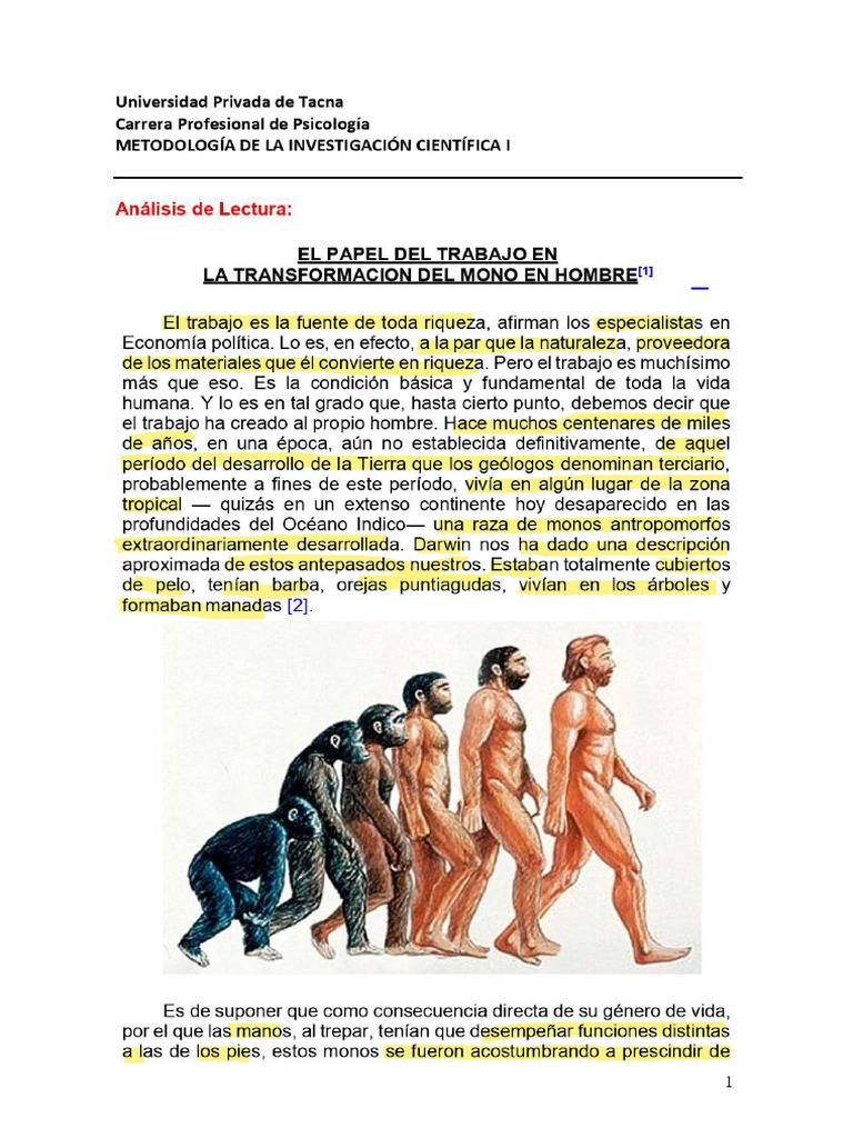 El Papel Del Trabajo en La Transformacion Del Mono en Hombre 2019-2 ...