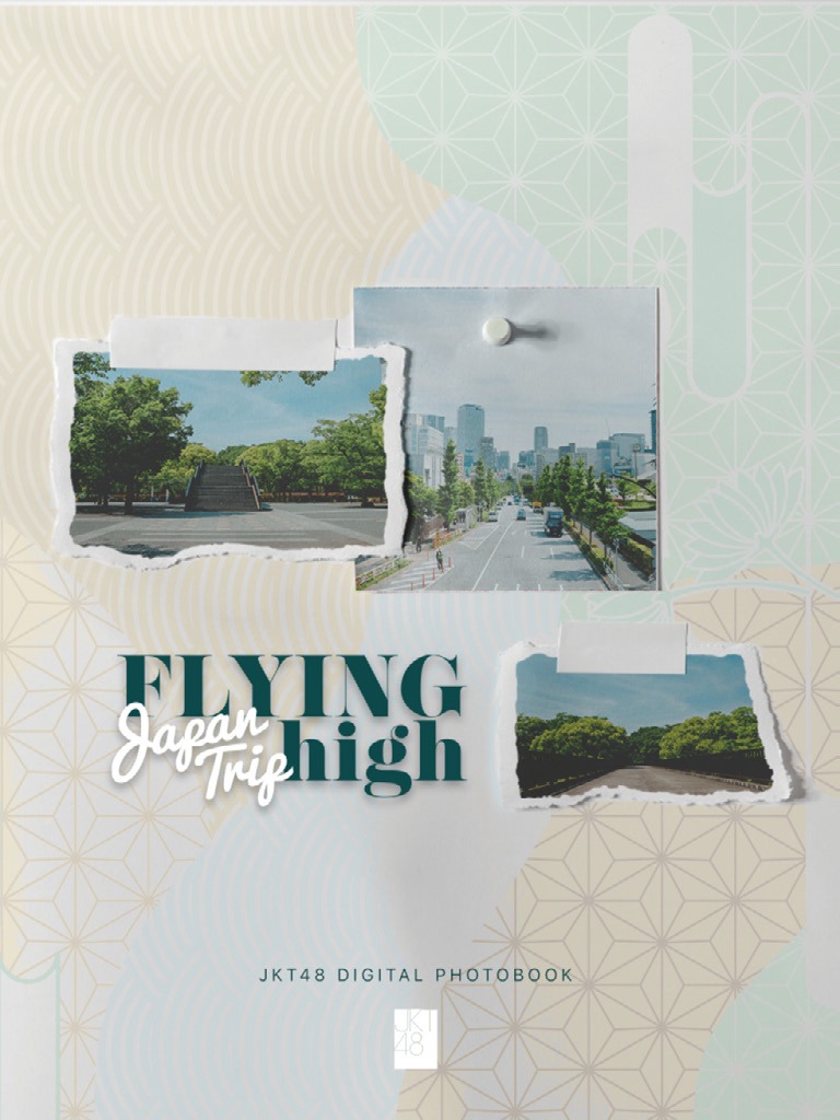 Flying High - Japan Trip | PDF