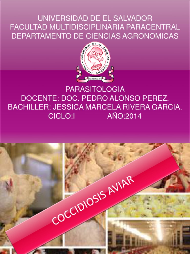 Fdocuments - Ec - Coccidiosis Presentacion PDF 1 | PDF | Heces | Aves