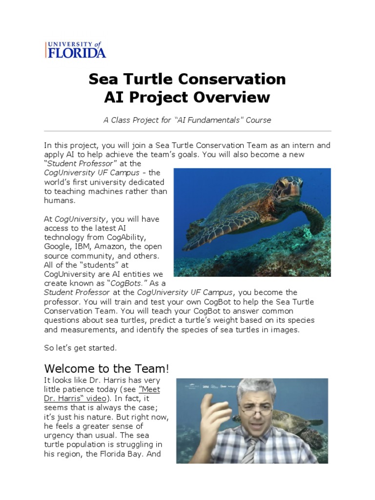 Class Project - Sea Turtle AI Project Overview v1 | PDF | Artificial ...