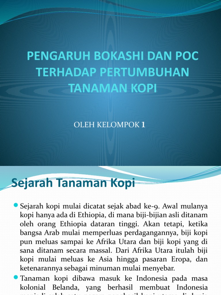 Pengaruh Bokashi dan POC pada Kopi | PDF