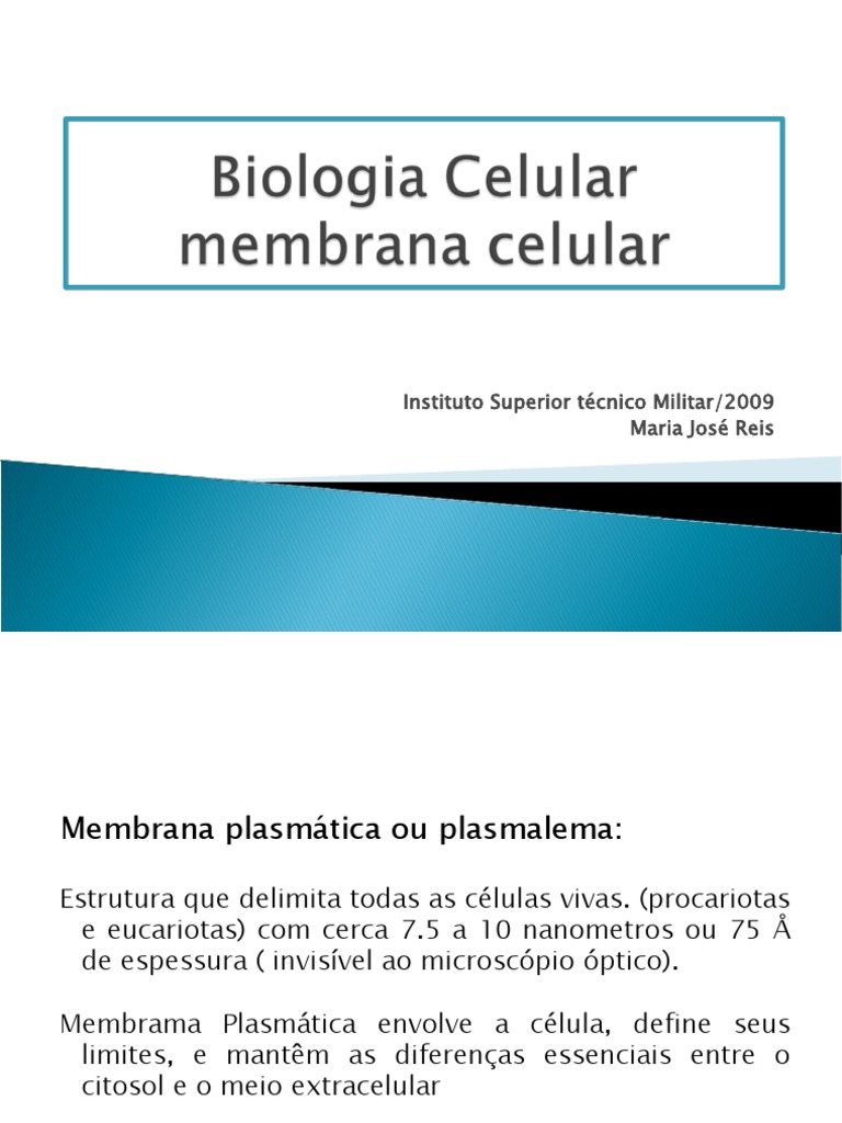 Estrutura e Funções do Glicocalice | PDF | Membrana celular | Célula ...