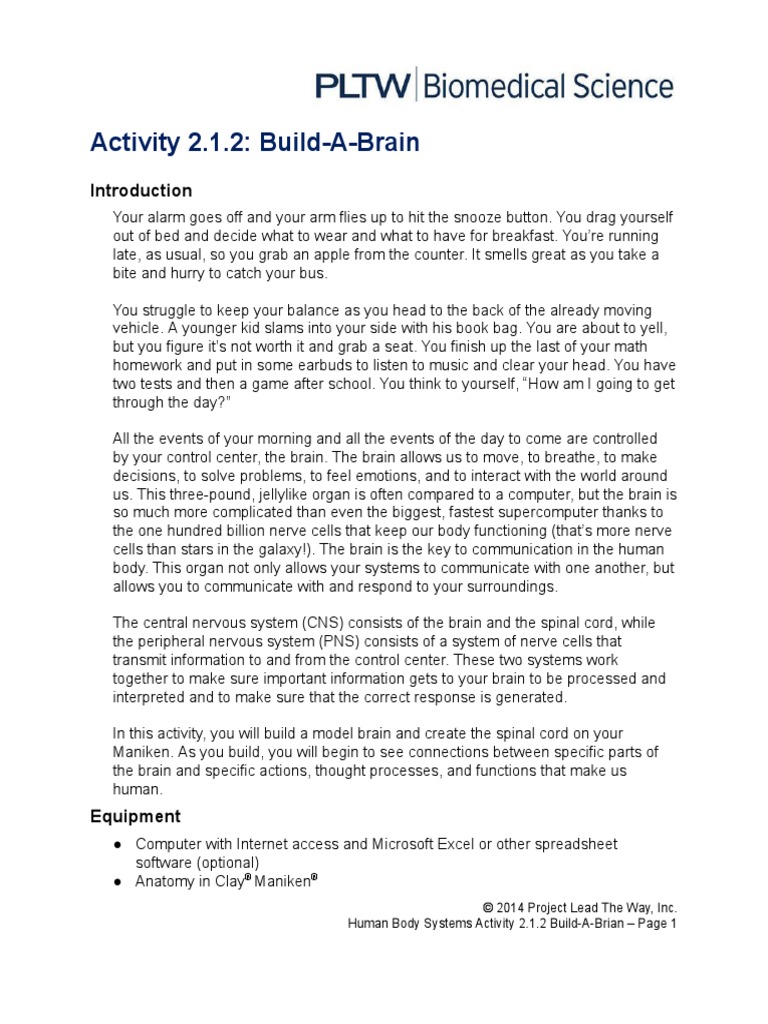 HBS 2 1 2 PLTW | PDF | Central Nervous System | Parietal Lobe