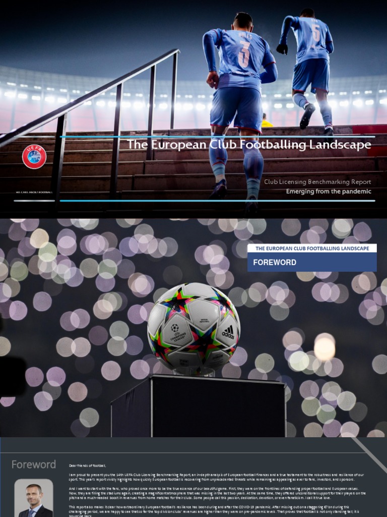 Ecfl BM Report 2022 High Resolution PDF | PDF | Balance Sheet ...