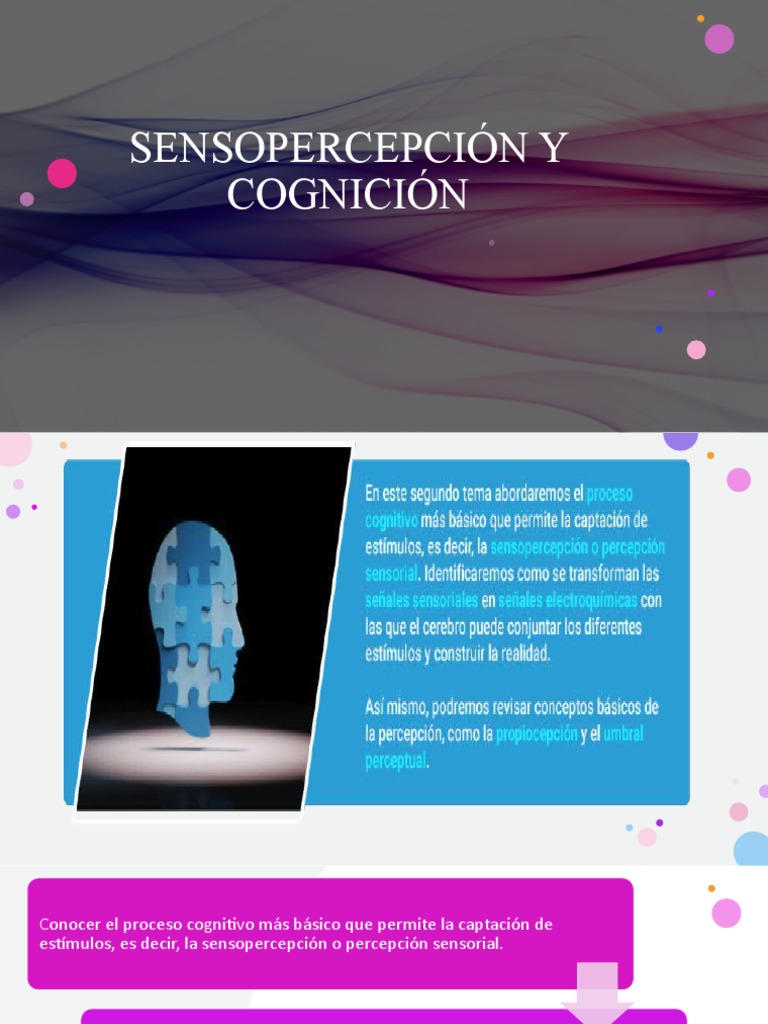 Sensopercepción y Cognición | PDF | Percepción | Cerebro