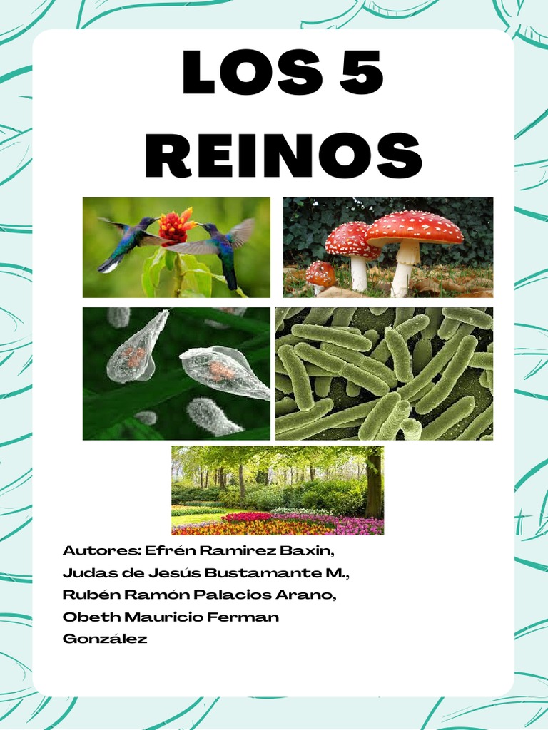 Los 5 Reinos PDF | PDF