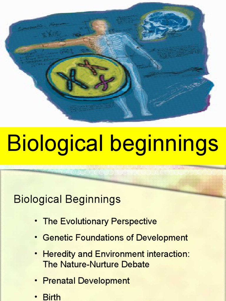 Biological Foundation of Human Development 01062022 123018pm 03102022 ...