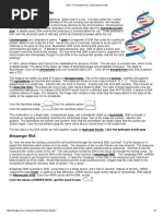 Mitosis Virtual Lab Answer Sheet Part2 | PDF | Mitosis | Cell Cycle