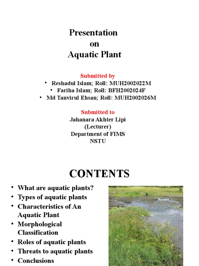 Aquatic Plant Presentation | PDF | Nature | Physical Geography