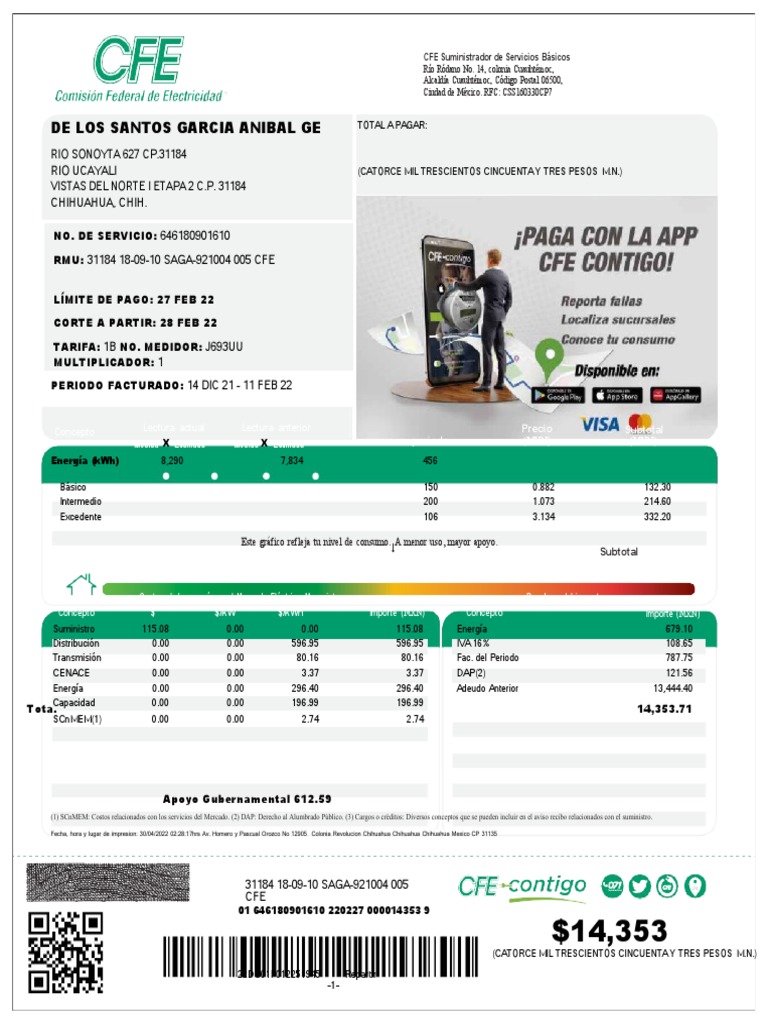 Factura de servicios básicos de CFE | PDF | Electricidad | Energia electrica