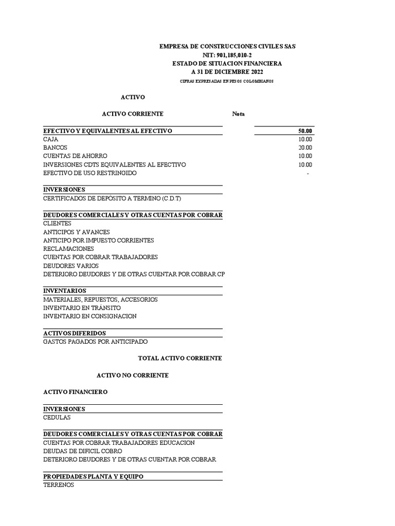 Modelo EEFF 2022 | PDF | Activo fijo | Estado de resultados