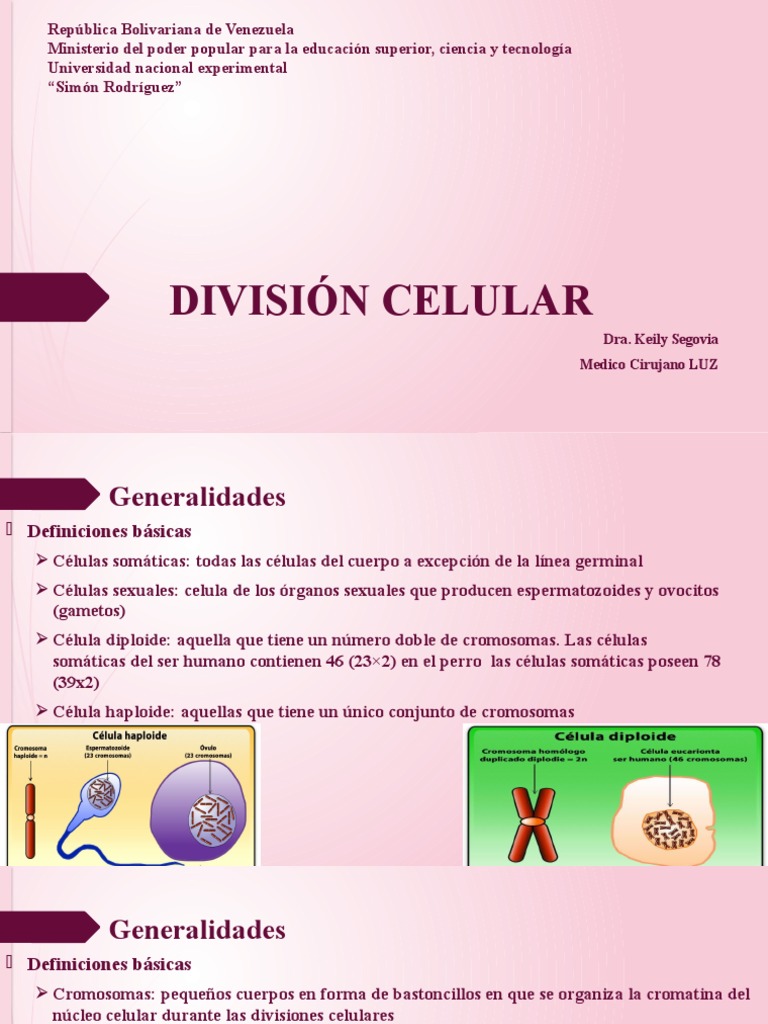 Tema 3 División Celular | PDF | Mitosis | Biotecnología