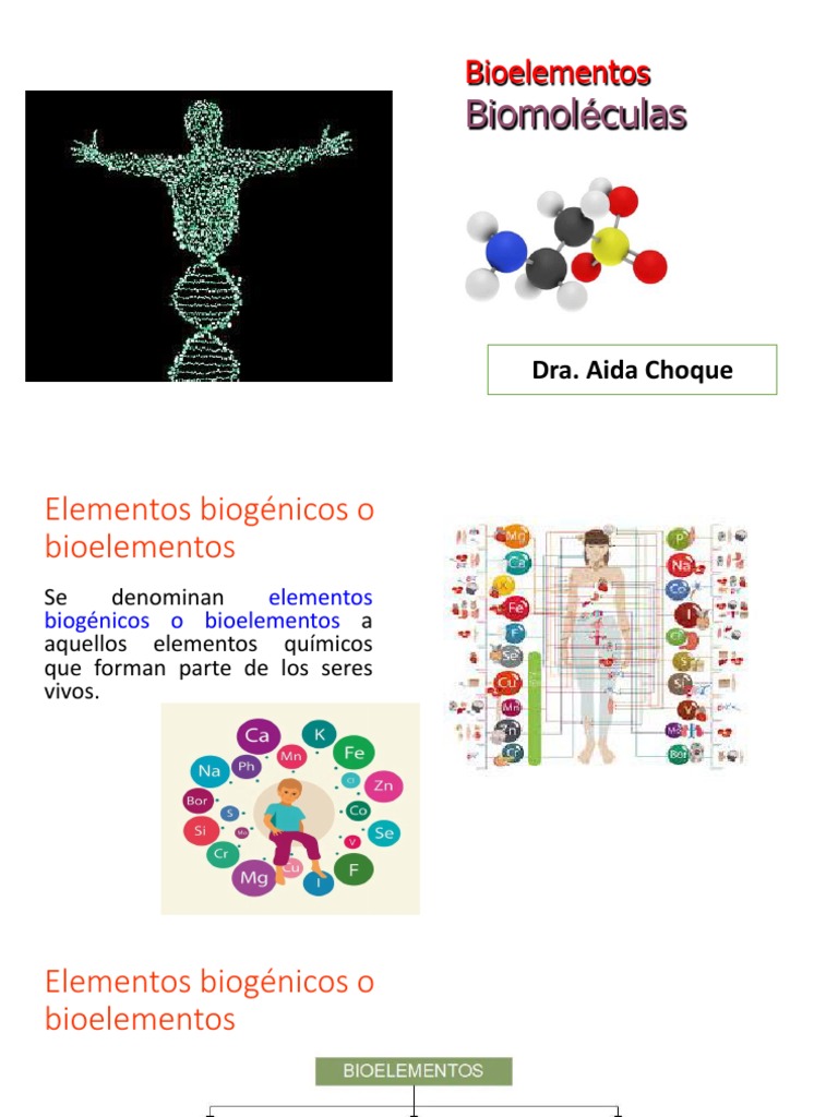 Bioelementos y Biomoléculas | PDF | Carbohidratos | Lípido