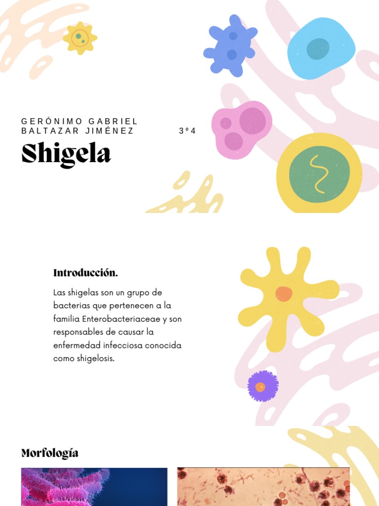 Shigela | PDF | Diarrea | Medicina
