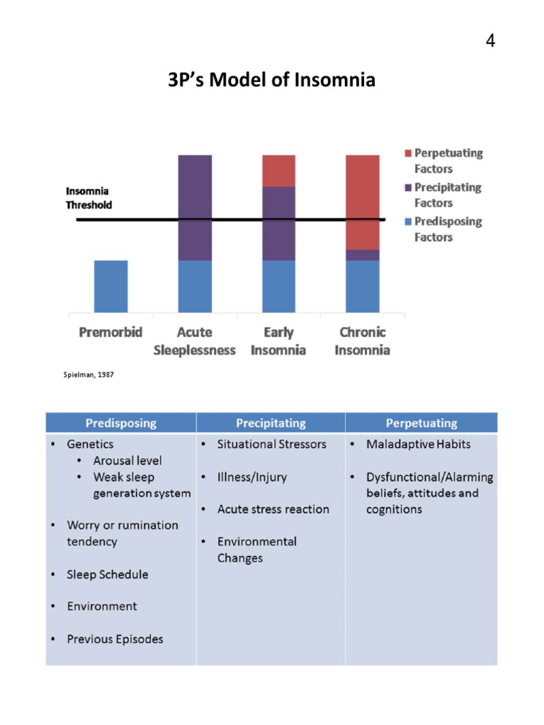 4-3Ps-CBT-I-Handout-1 | PDF