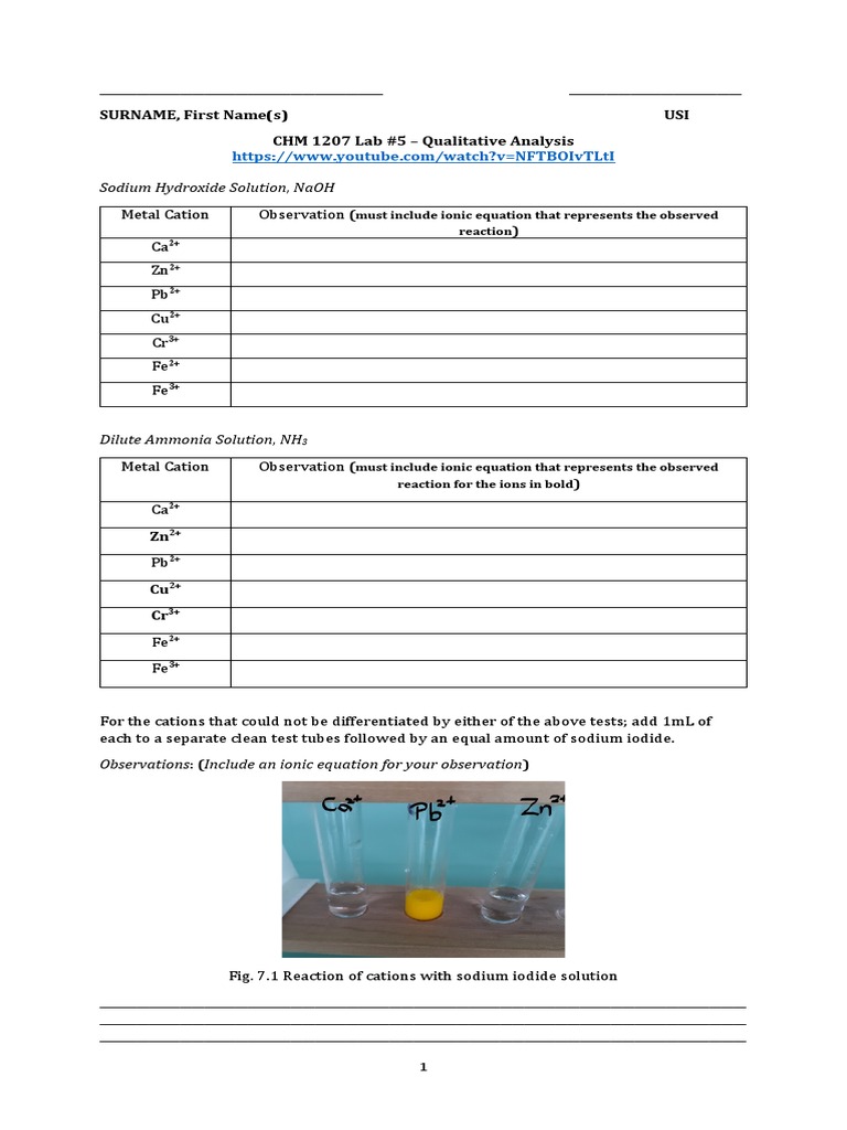 CHM Lab.5 Student Report | PDF | Sets Of Chemical Elements | Metallic ...