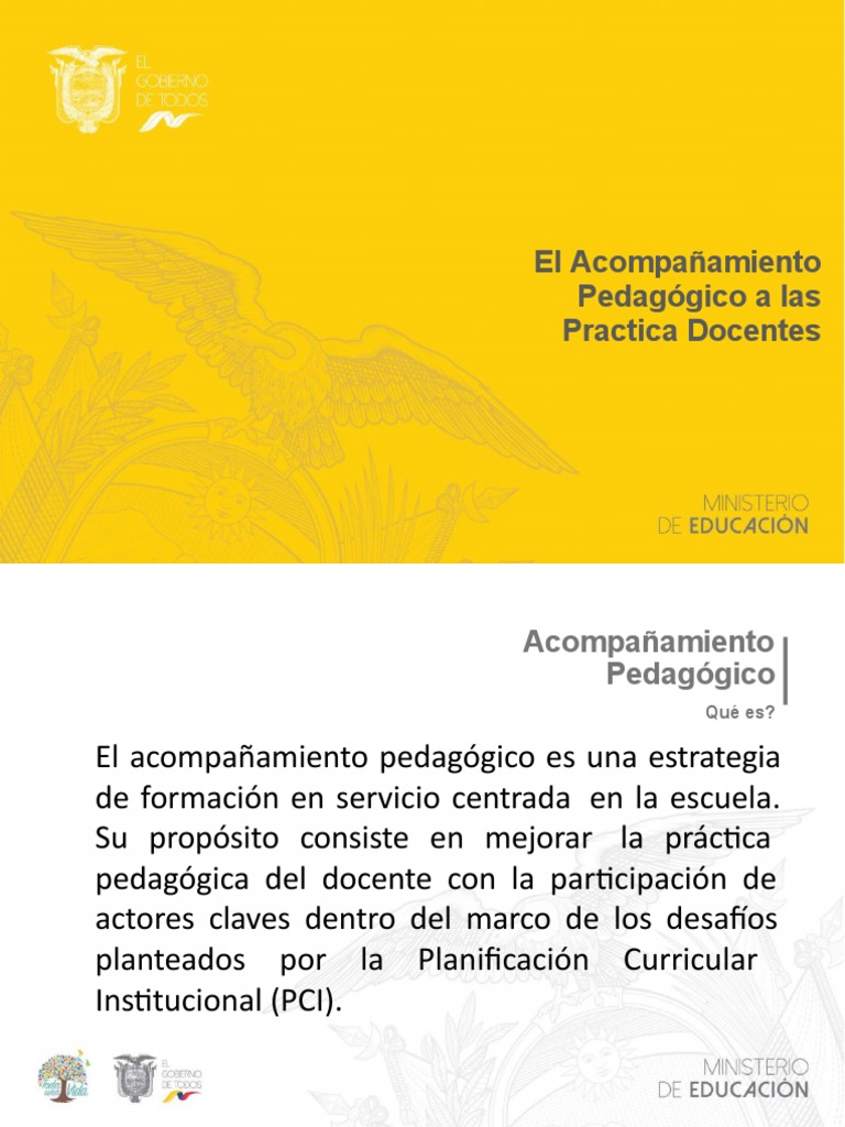 Acompañamiento Pedagógico en el Aula | PDF | Maestros | Enseñando