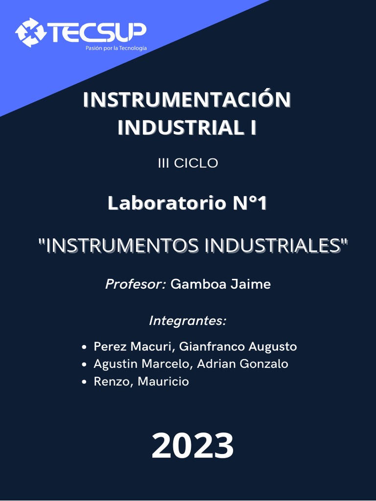 Lab01 Instrumentacion | PDF