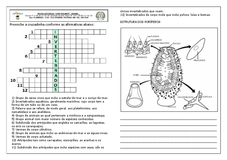 atividades sobre invertebrados - poriferos.pdf | PDF