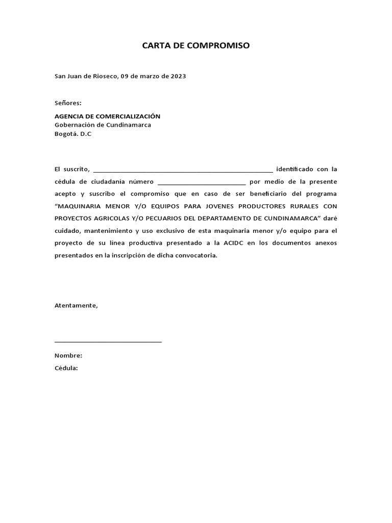 CARTA DE COMPROMISO.docx | PDF