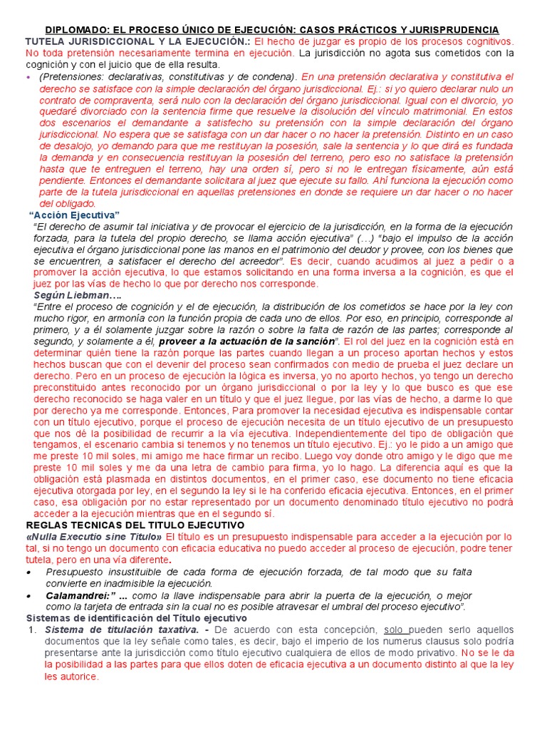 EL PROCESO ÚNICO DE EJECUCIÓN Degraba | PDF | Jurisdicción | Ley procesal
