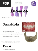 Tipos de Forceps y Elevadores | PDF | Odontología | Boca