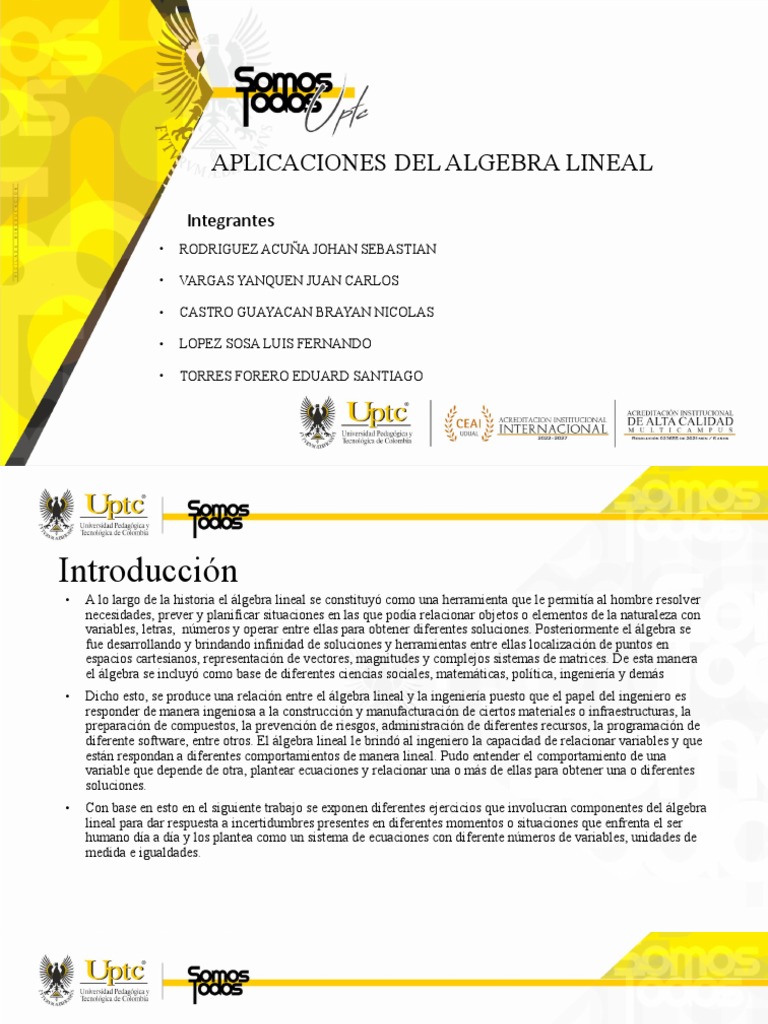 Presentacion de Algebra Borrador | PDF | Ecuaciones | Linealidad