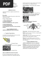 PPT-Science 7 - Reproduction | PDF | Sexual Reproduction | Reproduction