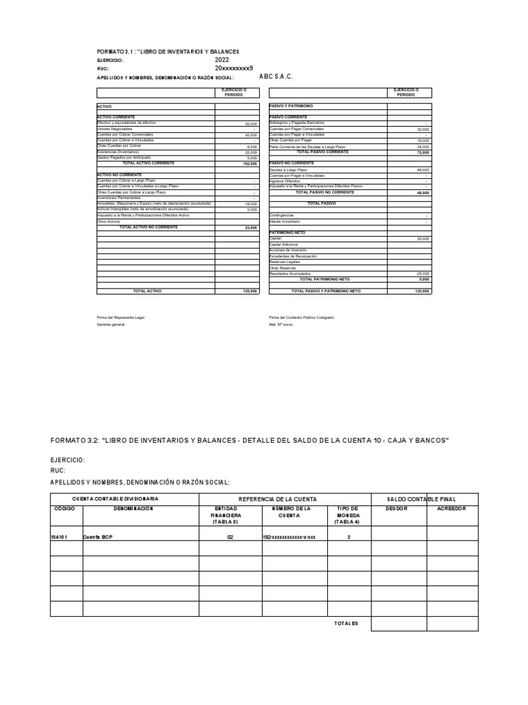 Libro de Inventarios y Balances | PDF | Contabilidad | Dividendo
