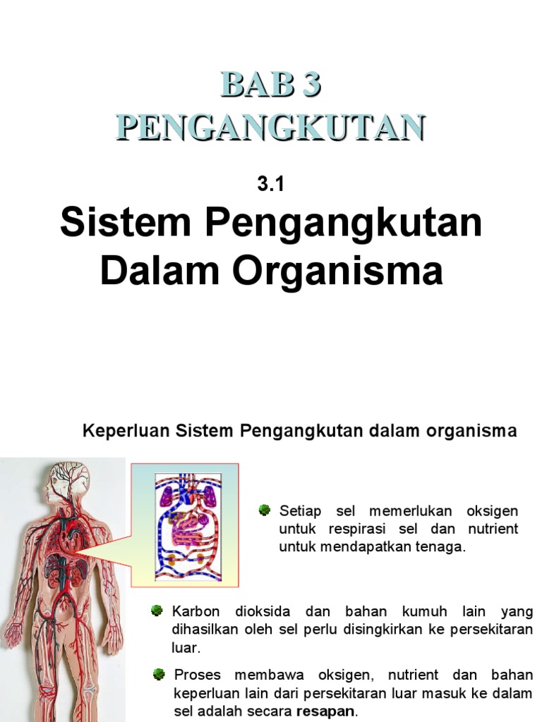 Bab 3 Pengangkutan Notes | PDF