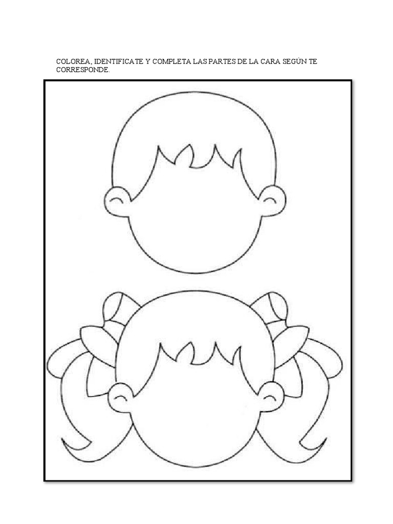 Partes de La Cara | PDF