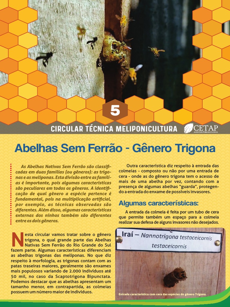 CircularTec ASF 05 Trigona | PDF | Abelhas | Mel