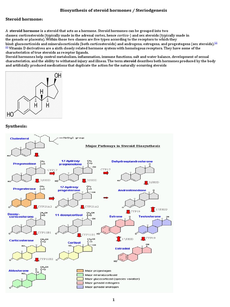 Biosynthesis of Steroid Hormones / Steriodgenesis Steroid Hormone | PDF | Steroid Hormone ...