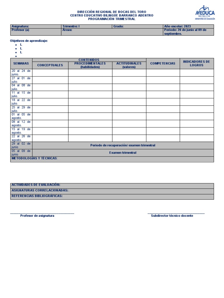 Formato Plan Trimestral | PDF