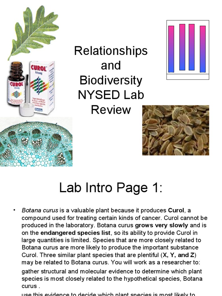 Biodiversity Lab Guide | PDF | Botany | Chemistry