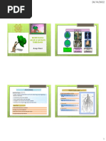 KEL 2 - LAPORAN FARMAKOGNOSI ANALISIS MAKROSKOPIK DAN MIKROSKOPIK (Analisis Makroskopik Dan ...