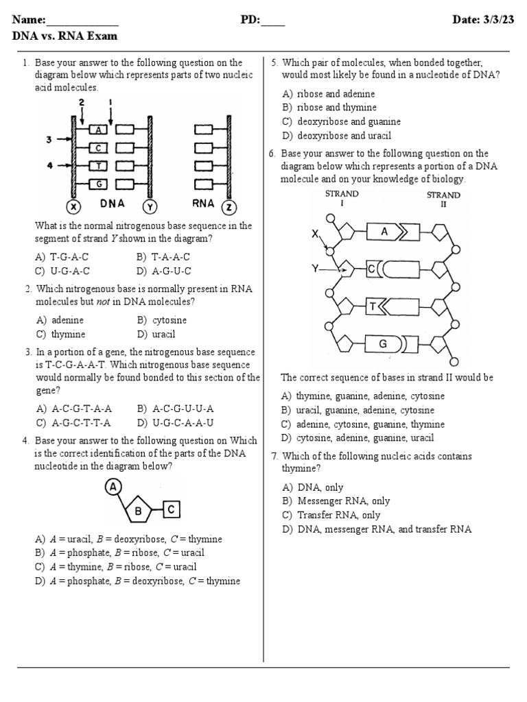Analysis of Nucleic Acid Structure and Function: A Comprehensive Exam on DNA vs. RNA | PDF ...