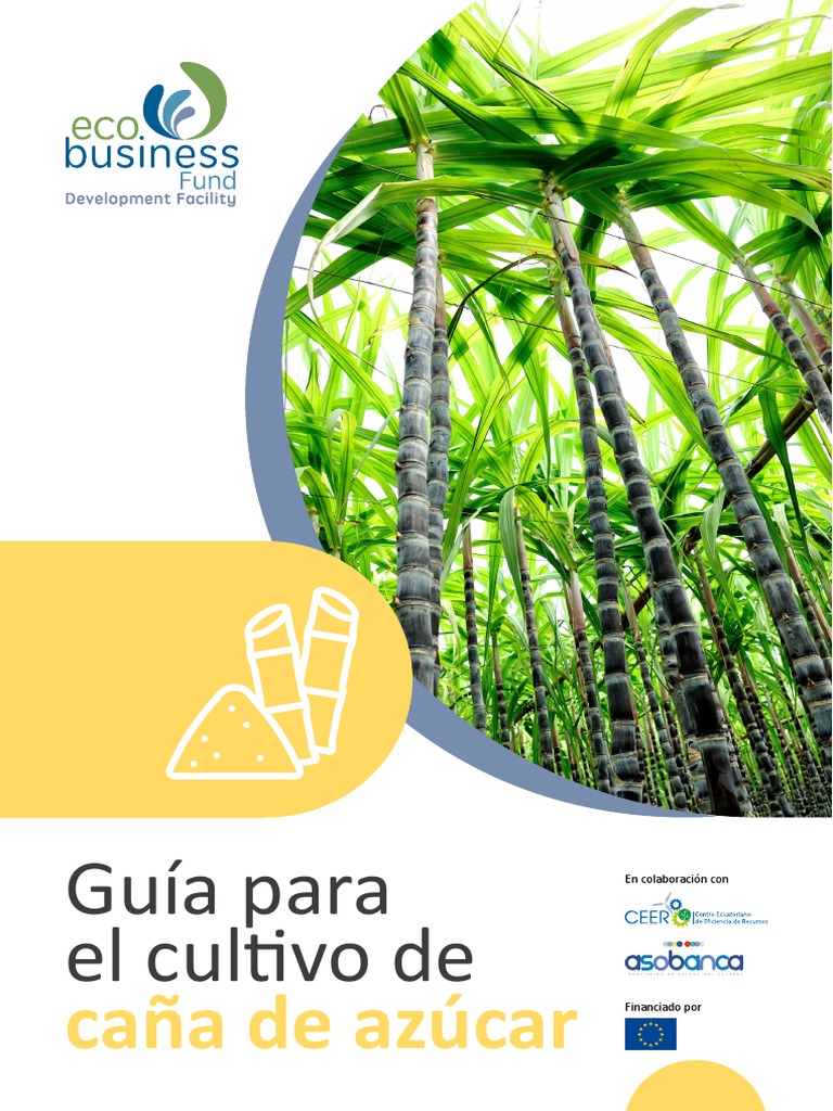 Guia para El Cultivo de Caña de Azúcar | PDF | Agricultura | Suelo