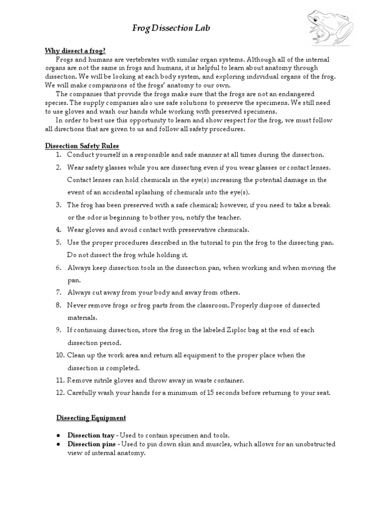 Frog Dissection Lab | Descargar gratis PDF | Small Intestine ...