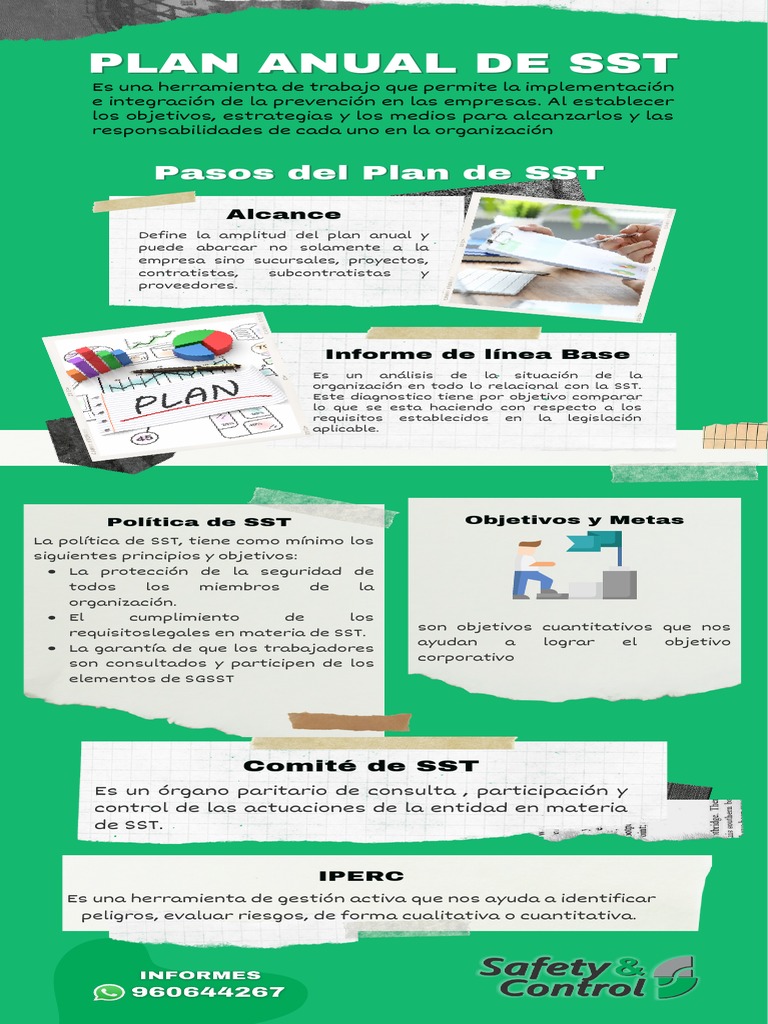 PLAN ANUAL DE SST - Safety Control | PDF | Seguridad y salud ocupacional | Business
