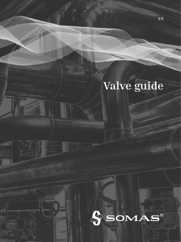Somas ValveGuide EN 2022 Dokumentbank PDF | PDF | Valve | Mechanical ...