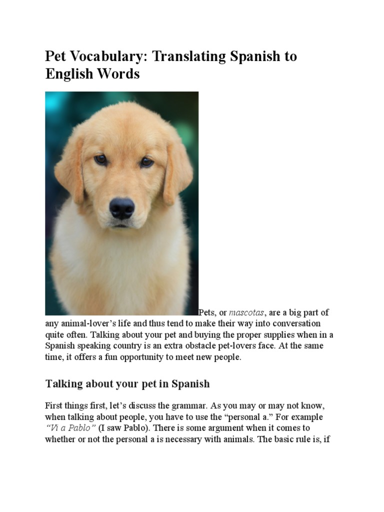 Describing Your Pet | PDF | Domesticated Animals | Animals And Humans