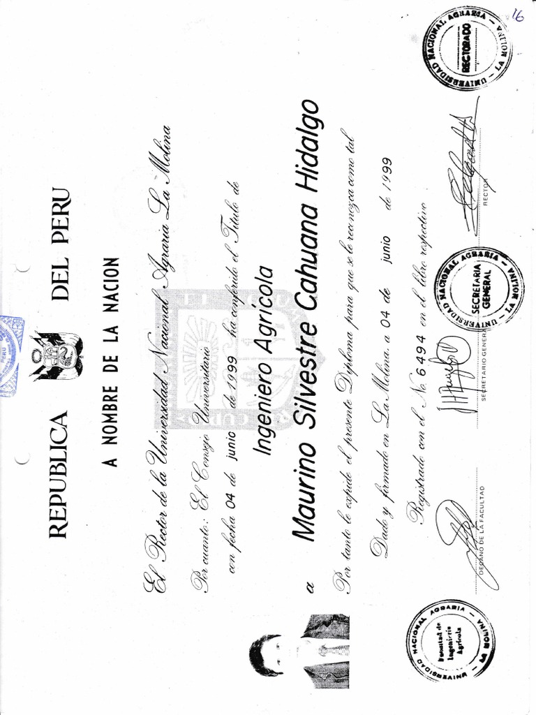 Datos Generales MCH | PDF