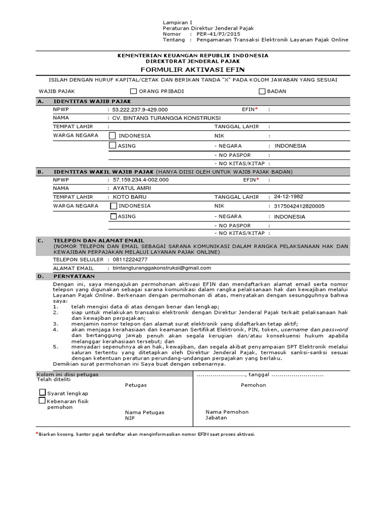 Form Aktivasi EFIN Editable | PDF