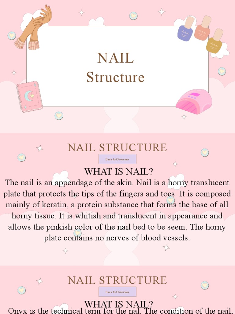 Nail Structure | PDF | Nail (Anatomy) | Integumentary System