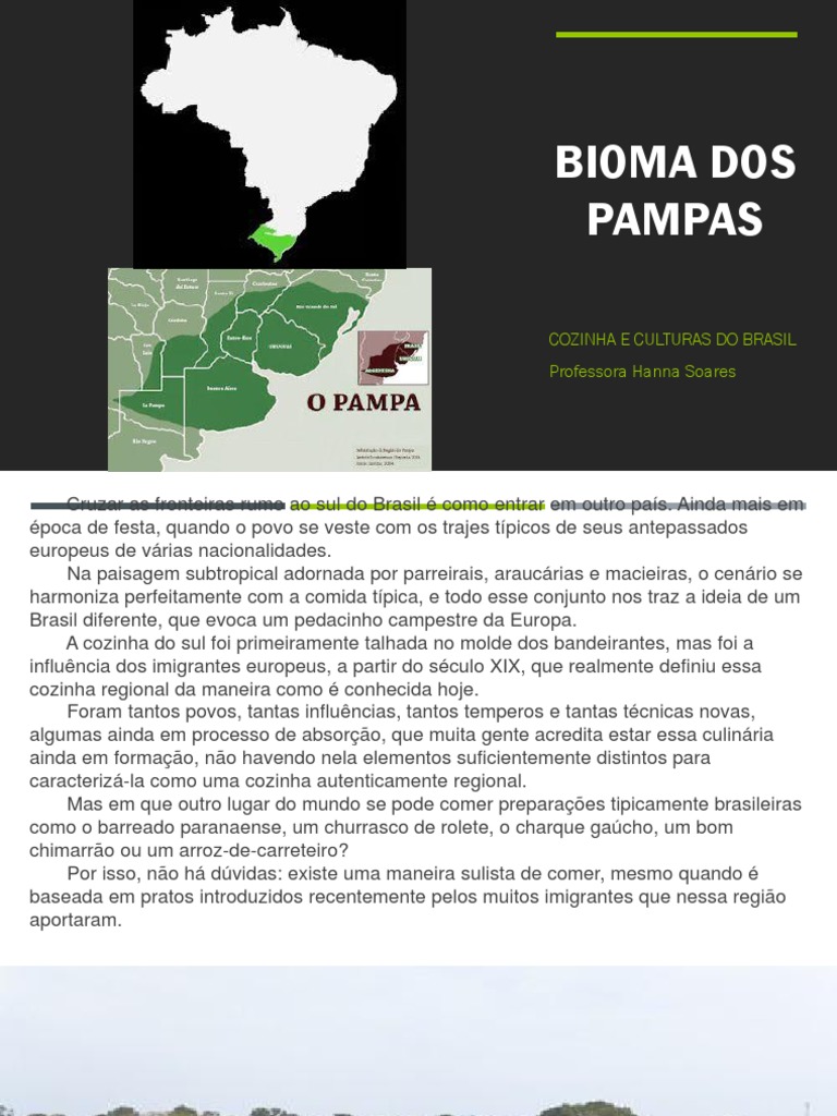 Bioma Dos Pampas | PDF | Alimentos | Comidas e bebidas