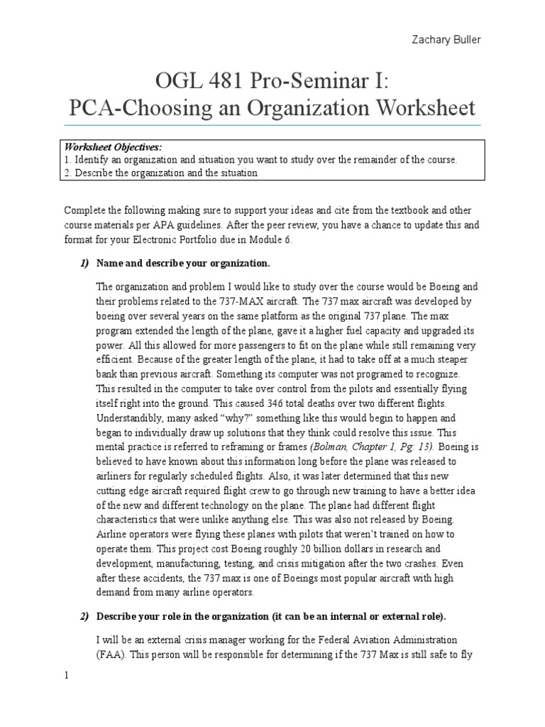 Choosing An Org Worksheet 481 | PDF | Federal Aviation Administration | Boeing