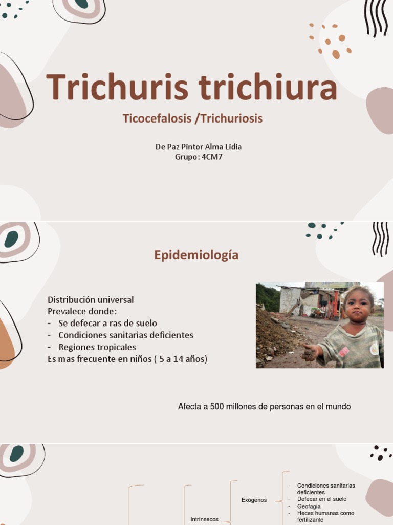Trichuris Trichiura - Presentación | PDF | Especialidades Medicas ...
