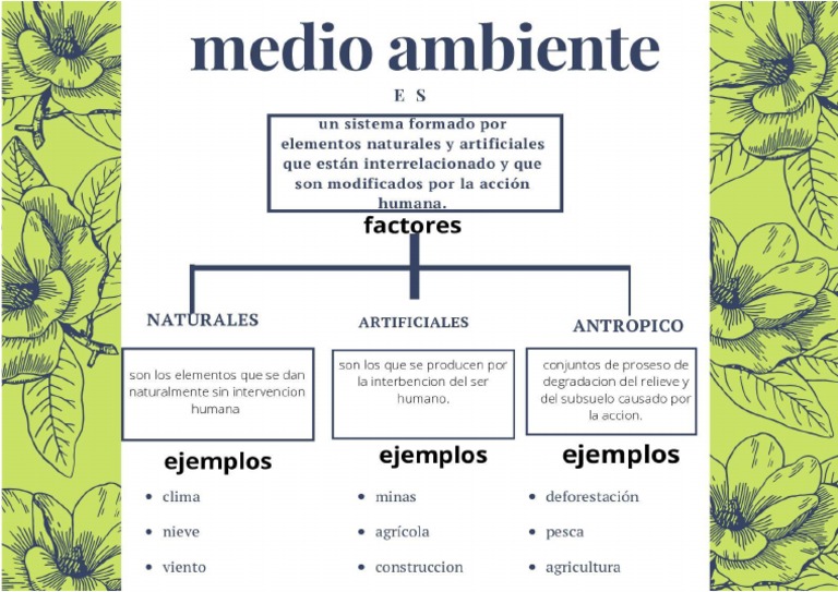 Mapa Conceptual Sobre El Medio Ambiente | PDF