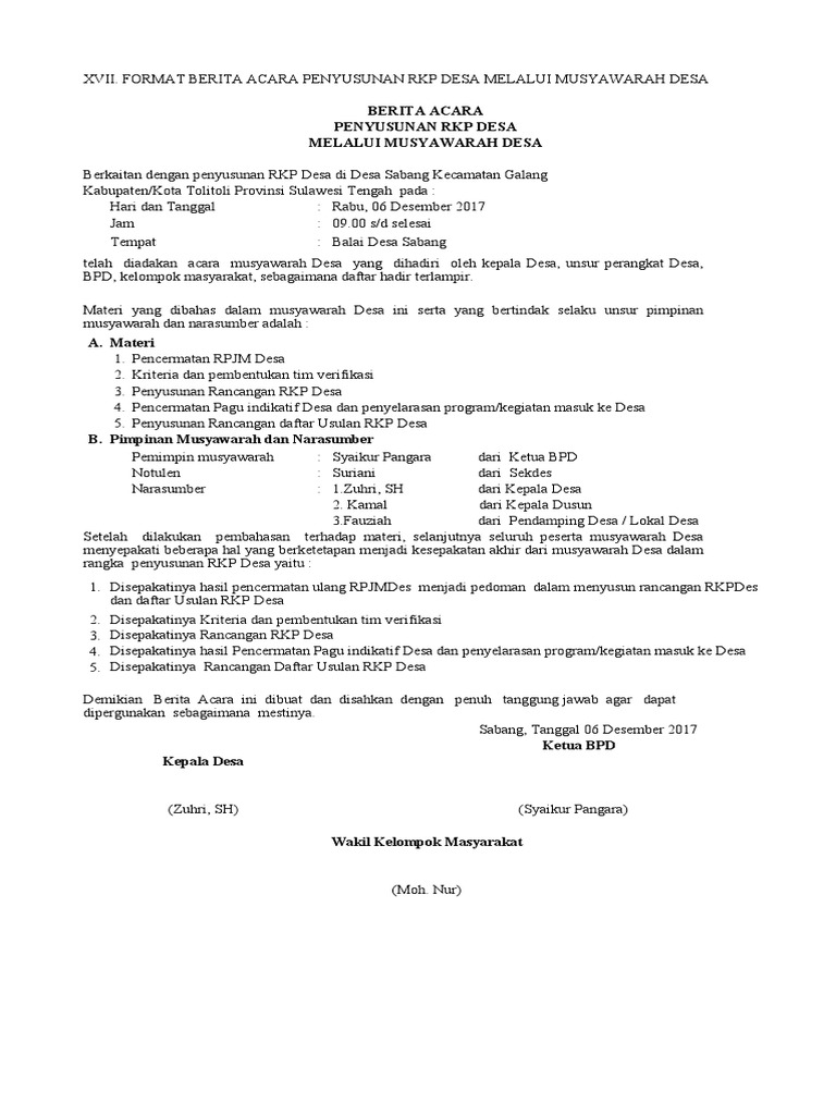 RKP Desa 2025: Format dan Contoh | PDF